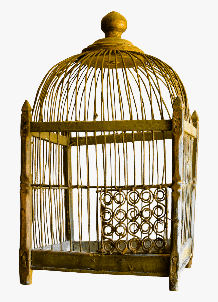 Golden Cage Png Transparent Background - Cage, Png Download ...