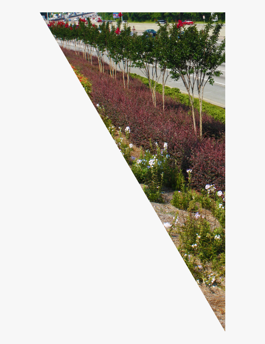 Yard, HD Png Download , Transparent Png Image - PNGitem