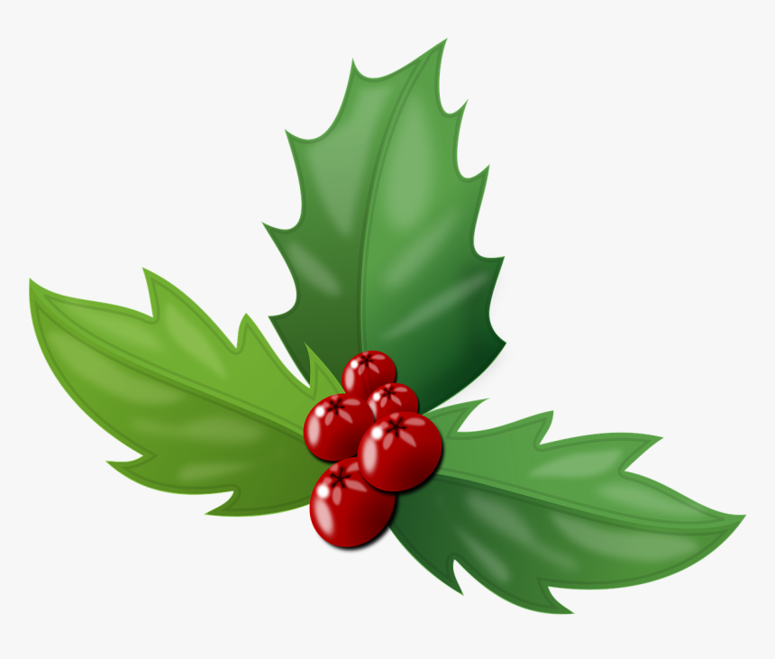 Holly Berry Png, Transparent Png , Transparent Png Image - PNGitem