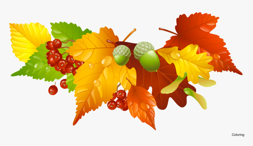 Free Clipart Of Fall Trees