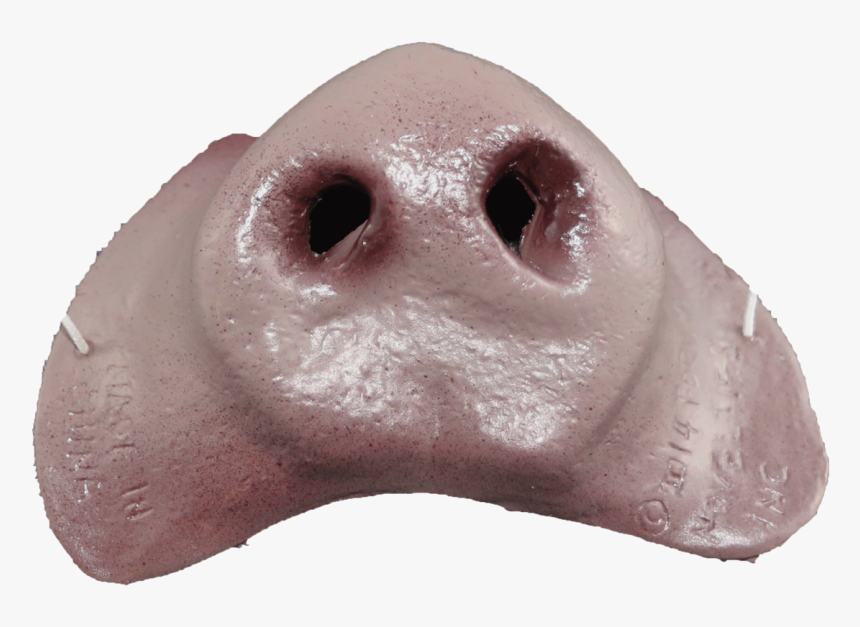 Pig Nose Transparent, HD Png Download , Transparent Png Image - PNGitem