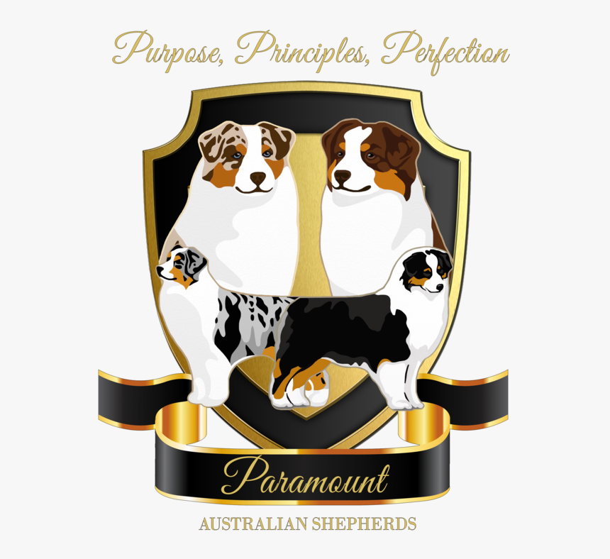 Australian Shepherds Logo, HD Png Download , Transparent Png Image ...