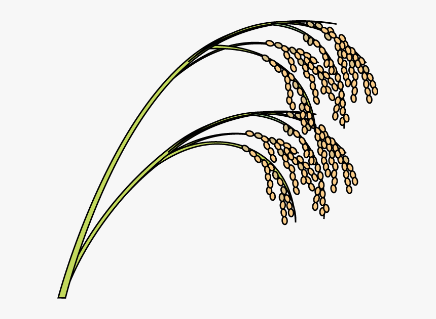 Paddy Clipart Black And White, HD Png Download , Transparent Png Image ...