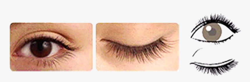 Eye Lash Png - Eyelash Extensions, Transparent Png , Transparent Png ...