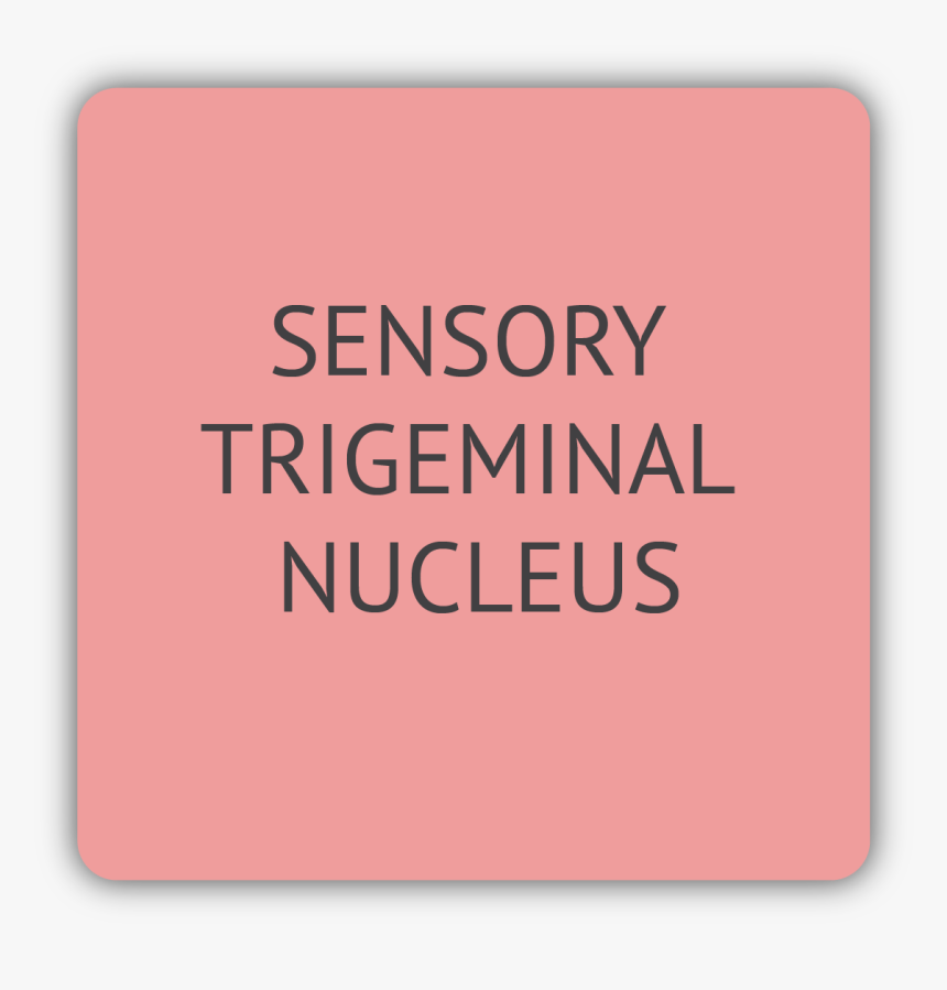 Nucleus Png, Transparent Png , Transparent Png Image - PNGitem