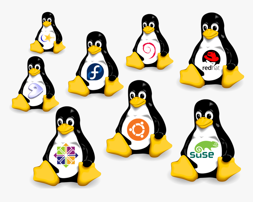Linux Distros Png, Transparent Png , Transparent Png Image - PNGitem