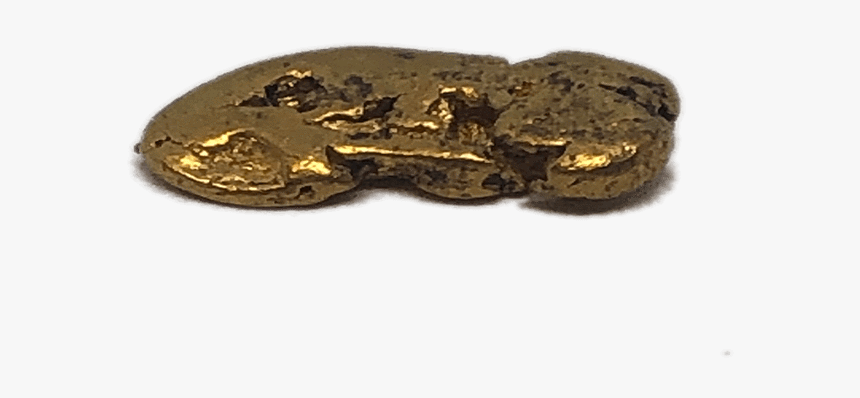 Python Family, HD Png Download , Transparent Png Image - PNGitem