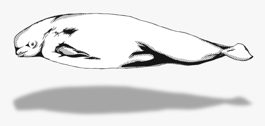 1024 X 640 - Illustration, HD Png Download , Transparent Png Image ...