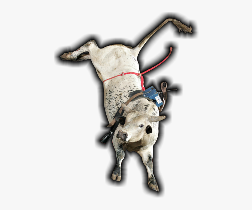 Thumb Image - Jaripeo Ranchero Png, Transparent Png , Transparent Png ...