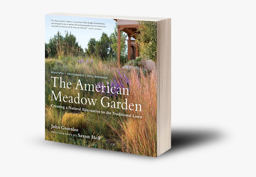 Meadow Landscape Design, HD Png Download , Transparent Png Image - PNGitem