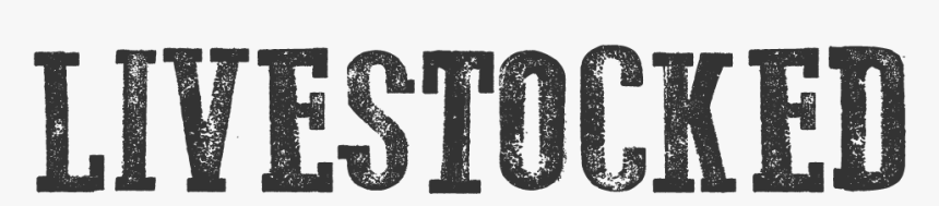 Bootleg, HD Png Download , Transparent Png Image - PNGitem