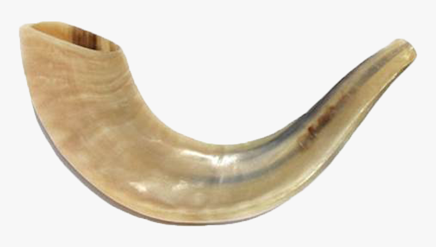Shofar Png Picture - Shofar En Png Transparent, Png Download ...