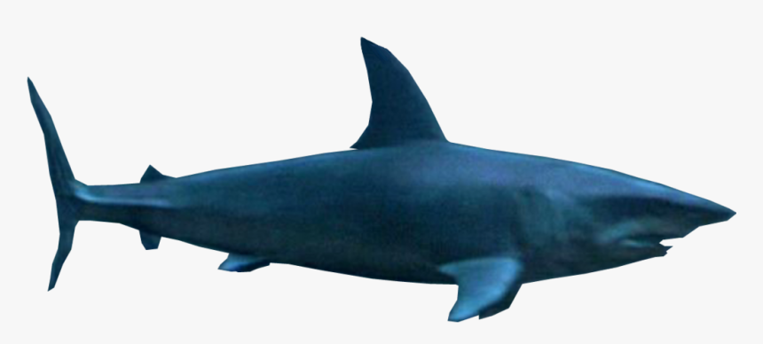 Deep Blue Sea Mako Shark