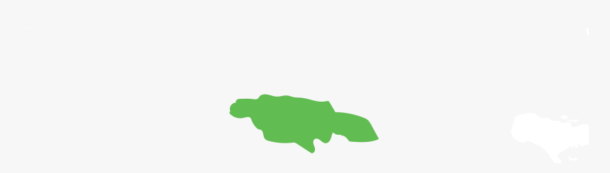 Turtle, HD Png Download , Transparent Png Image - PNGitem
