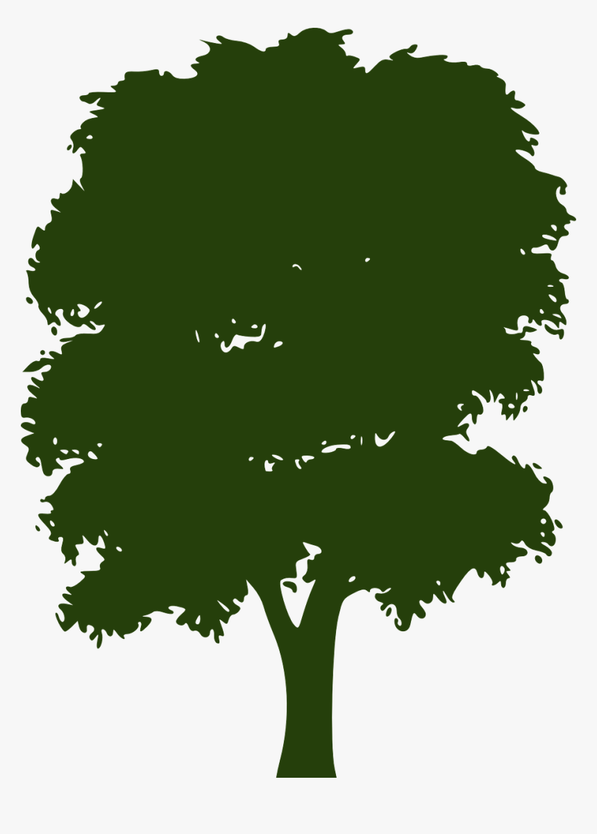 Canopy Png, Transparent Png , Transparent Png Image - PNGitem