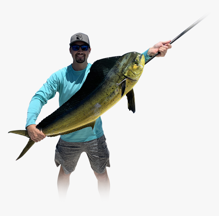 Pull Fish Out Of Water, HD Png Download , Transparent Png Image - PNGitem