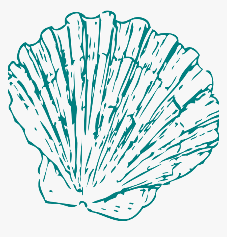 Teal Seashell Clipart