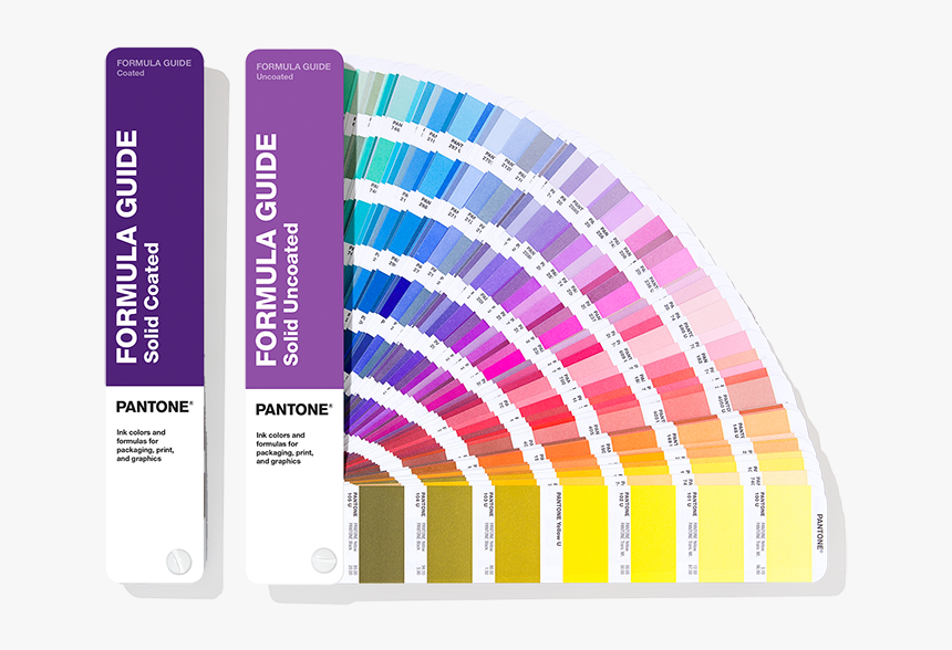 Pantone 165c, HD Png Download , Transparent Png Image - PNGitem