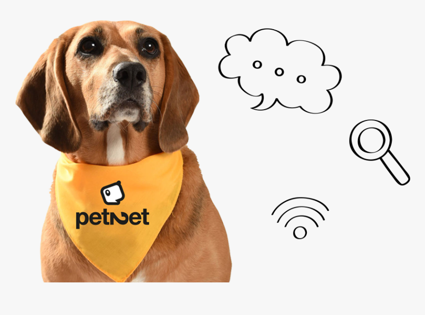 Pet2net Dog - Dog, HD Png Download , Transparent Png Image - PNGitem