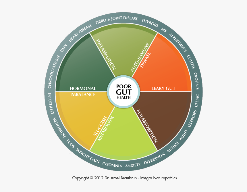 Wheel Copy - Circle, HD Png Download , Transparent Png Image - PNGitem