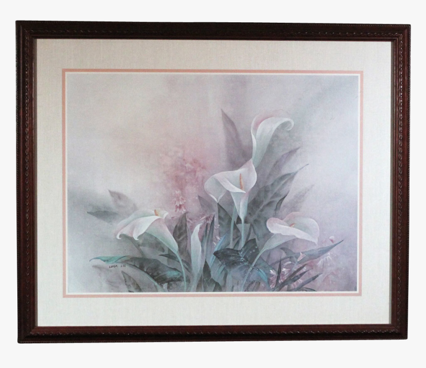 Lena Liu White Calla Lily Print, HD Png Download , Transparent Png ...