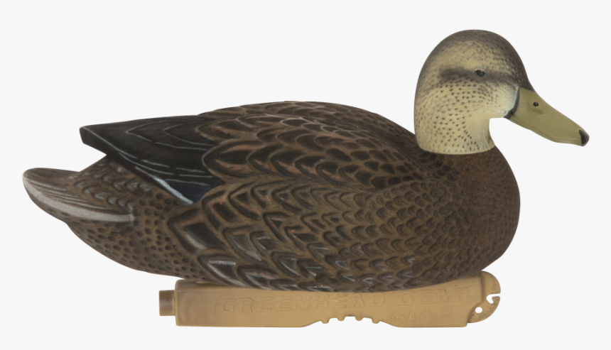 Duck Hunt Dog Png, Transparent Png , Transparent Png Image - PNGitem