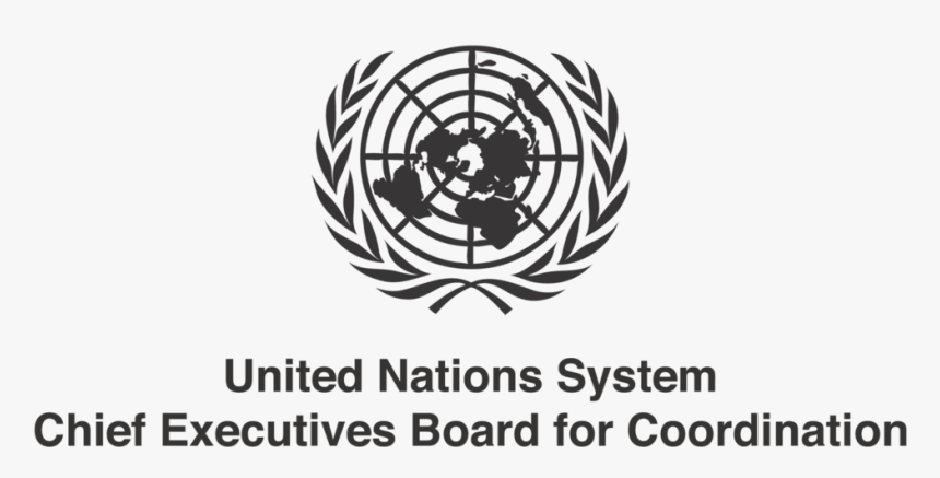 Un Ceb For Coordination - United Nations Seal Png, Transparent Png ...