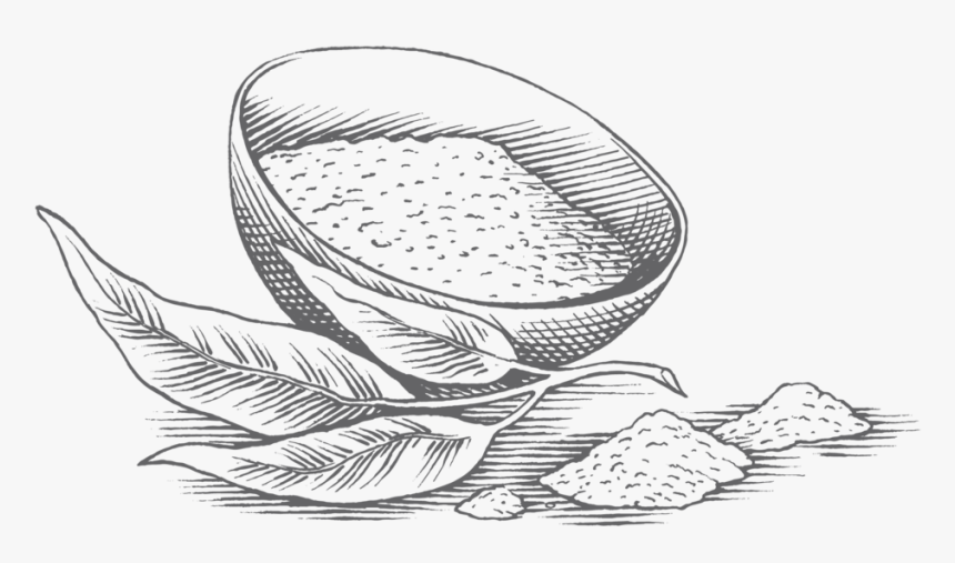 Matcha - Line Art, HD Png Download , Transparent Png Image - PNGitem