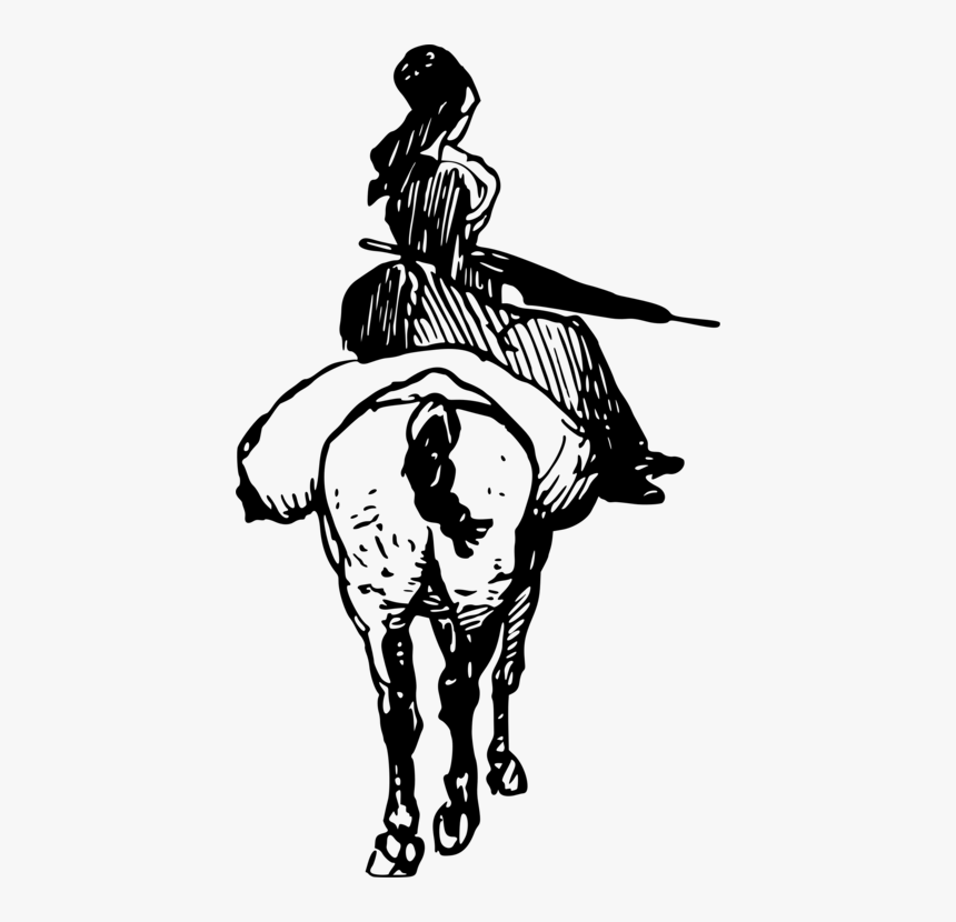 Art,livestock,horse Tack - Drawing, HD Png Download , Transparent Png ...