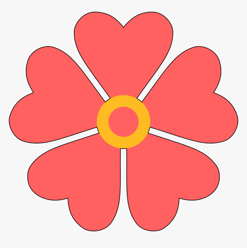 5 Petal Flower Best Flower Site