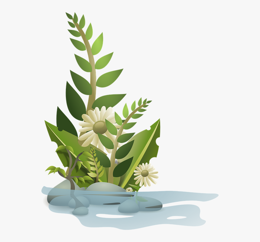 Transparent Growing Clipart - Plant Clip Art, HD Png Download ...