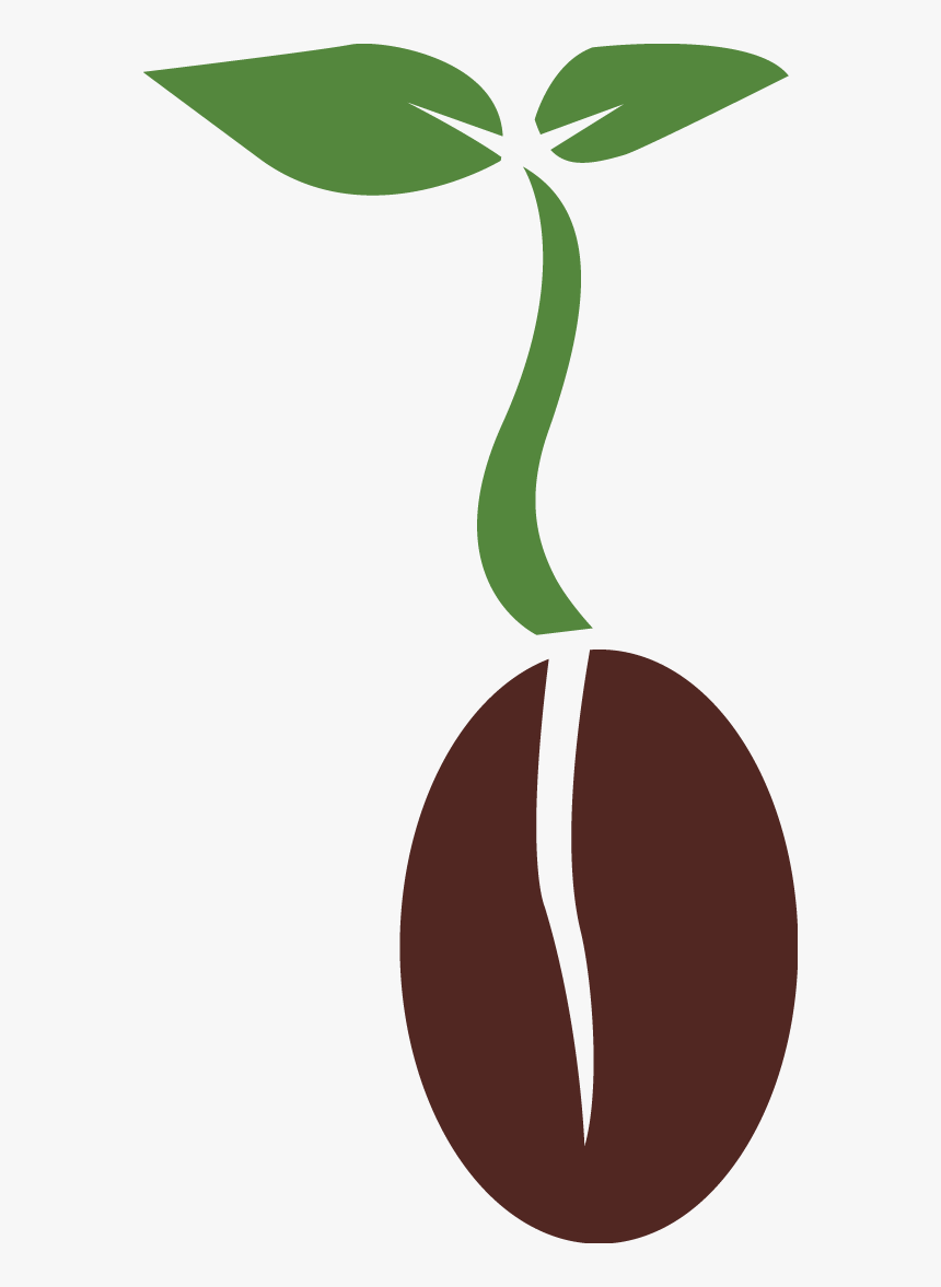 Collection Of Seed - Seed Png, Transparent Png , Transparent Png Image ...