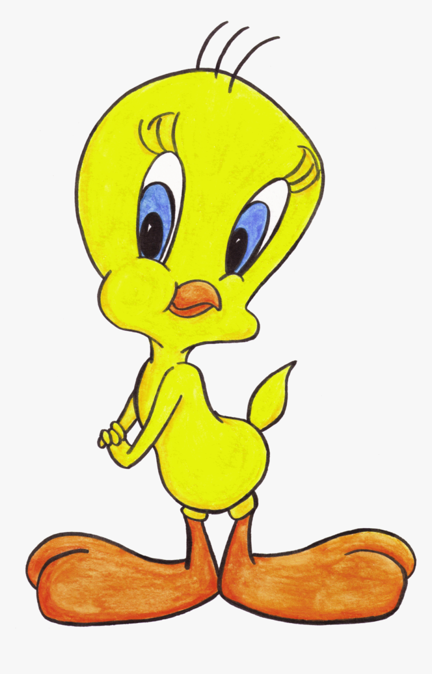 Cartoon Network Bird Characters, HD Png Download , Transparent Png ...