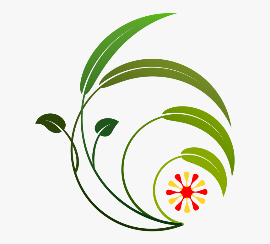 Plant,flora,leaf - Icon, HD Png Download , Transparent Png Image - PNGitem