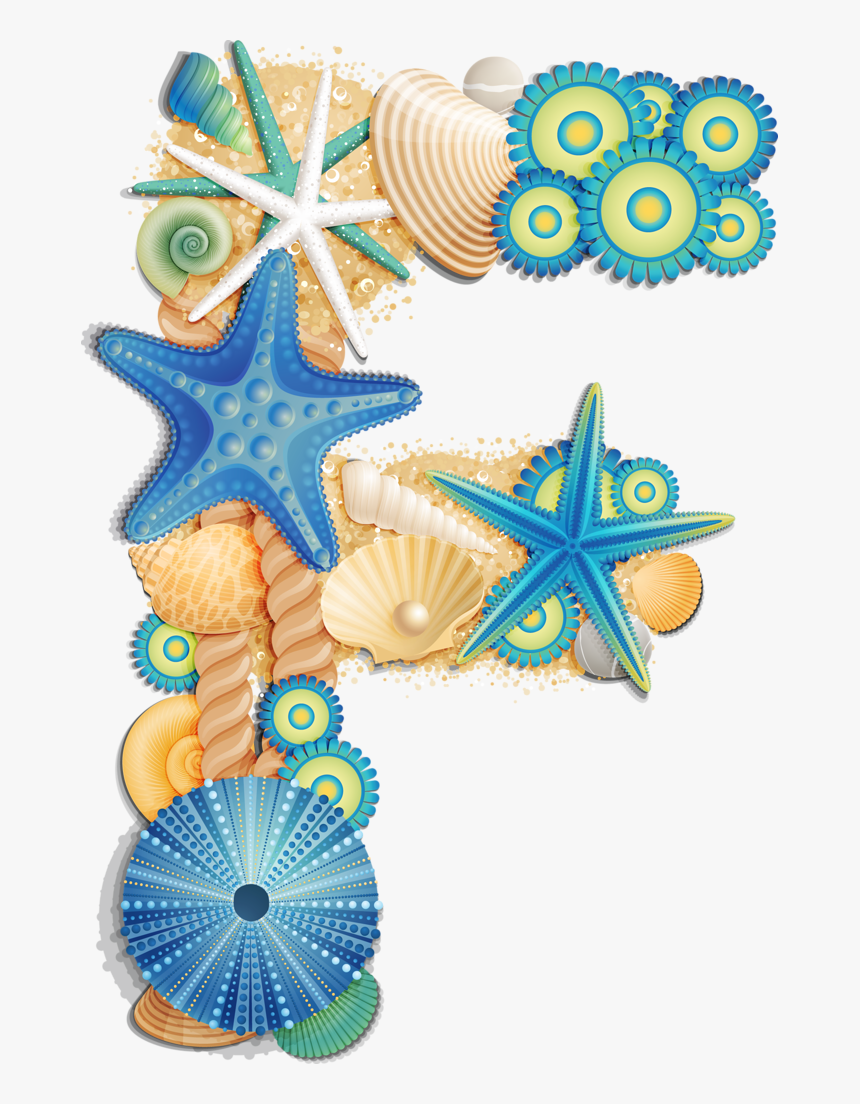 Sea Shell Alphabet O, HD Png Download , Transparent Png Image - PNGitem