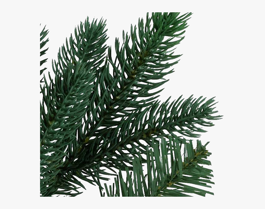 Realistic Foliage With Pe And Pvc Needles - Yew Family, HD Png Download ...