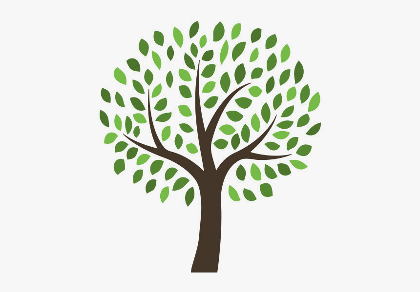 Family Tree Template Png, Transparent Png , Transparent Png Image - PNGitem