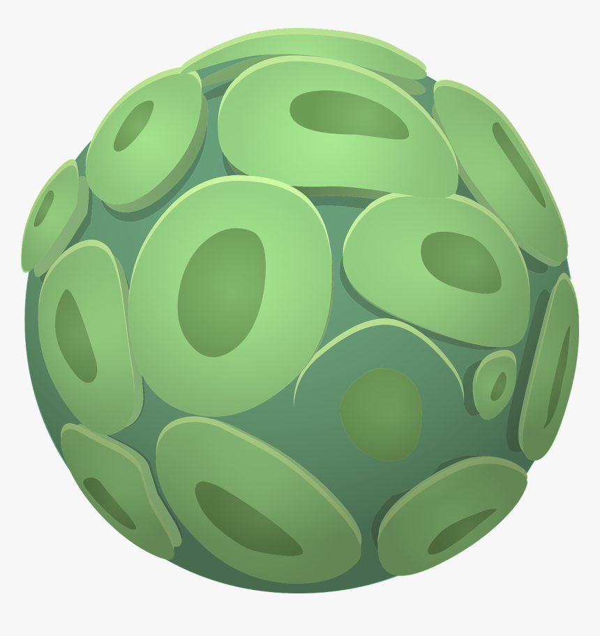 Algae Cell Png, Transparent Png , Transparent Png Image - PNGitem