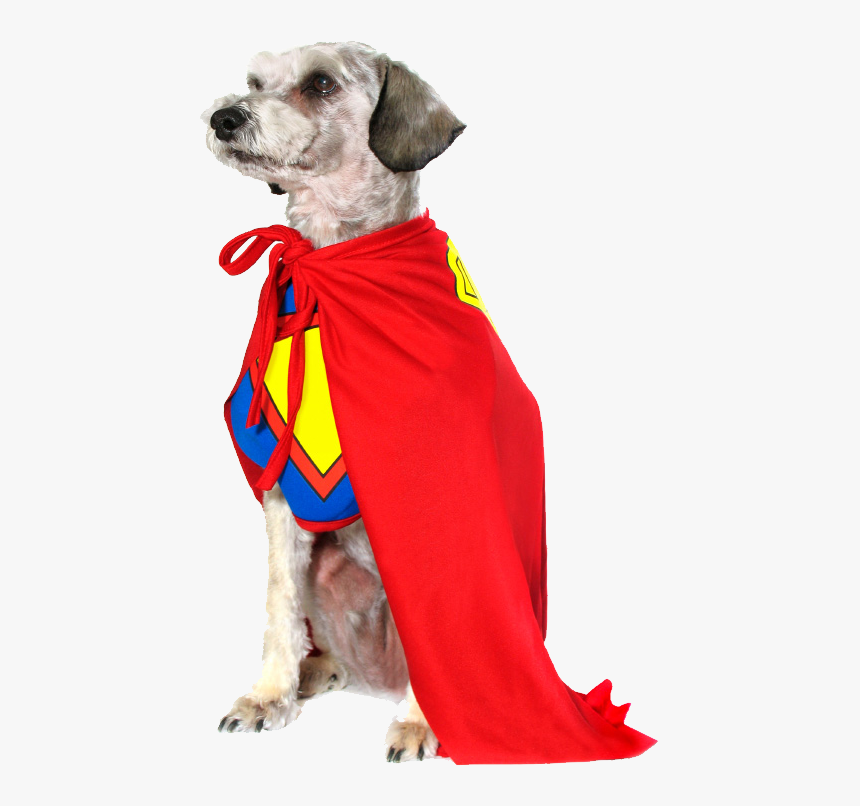 Superhero Cape Png Hd - Super Hero Dog Png, Transparent Png ...