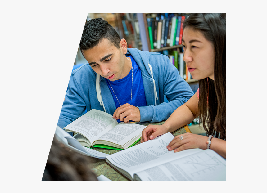 Reading , Png Download - Students Studying Png, Transparent Png ...