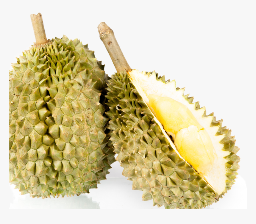 Durian, HD Png Download , Transparent Png Image - PNGitem
