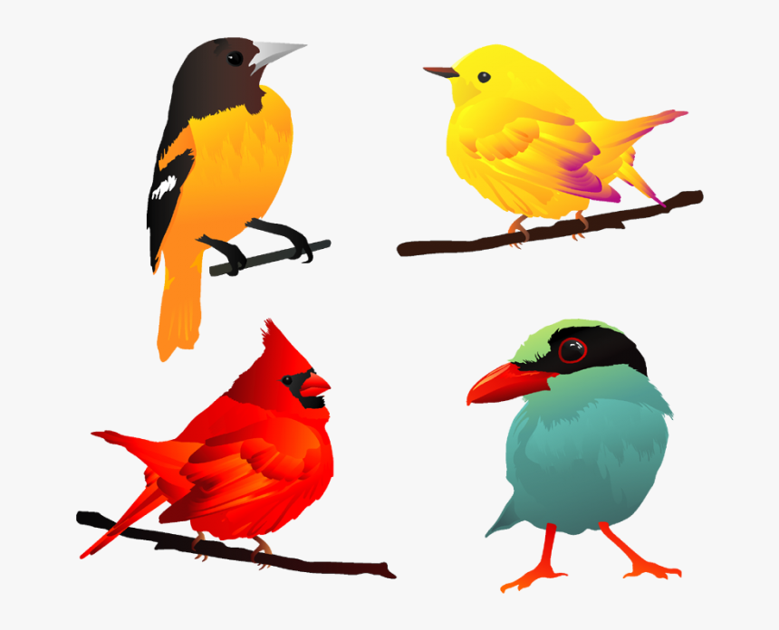 Free Bird Vector - Beautiful Birds Vector, HD Png Download ...