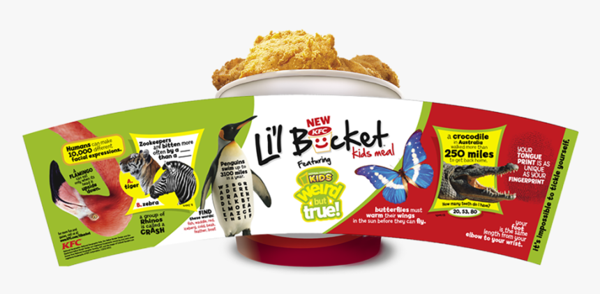Kfc/national Geographics Lil - Kids Bucket Kfc, HD Png Download ...