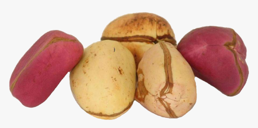 Kola Nuts Png - Kola Nut Alligator Pepper, Transparent Png ...