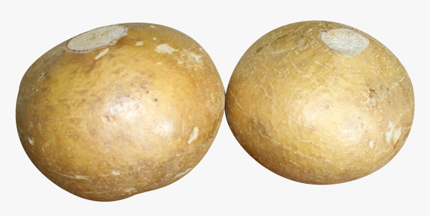 Jicama - Jicama Png Transparent, Png Download , Transparent Png Image ...