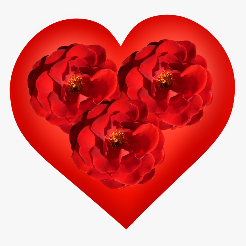 Red Heart With Three Red Roses - Heart, HD Png Download , Transparent ...