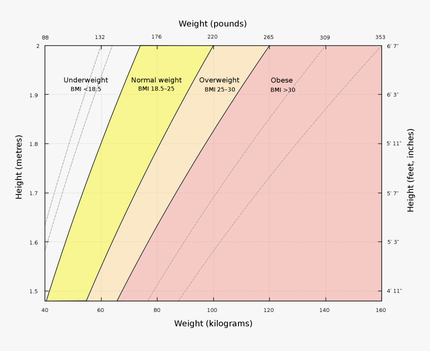 Bmi As A Function Of Height Graph, HD Png Download , Transparent Png ...
