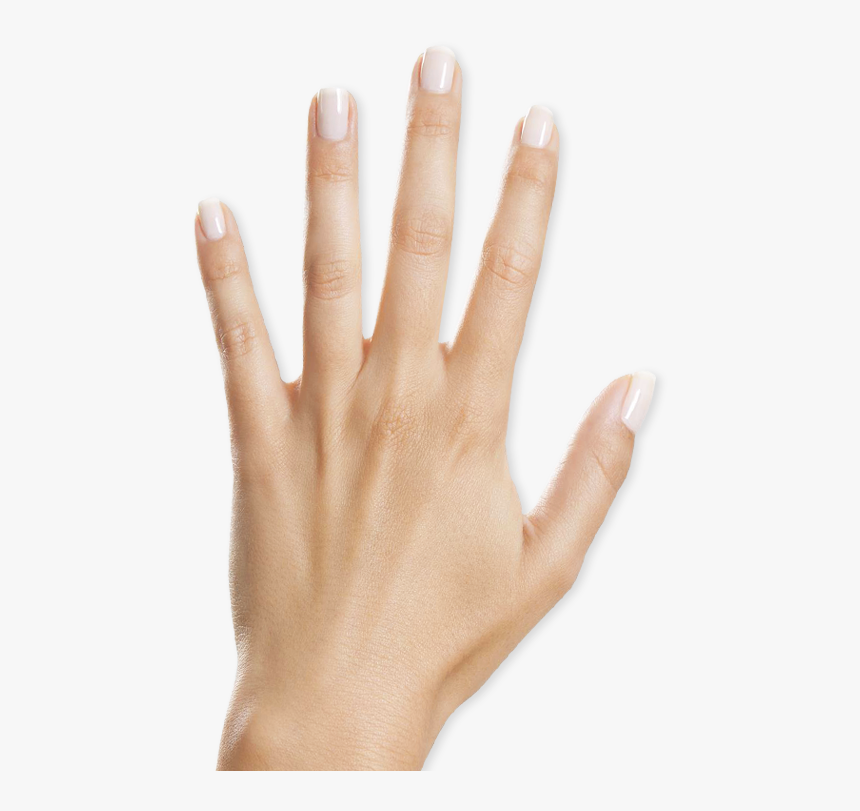 Diamond Hand Png, Transparent Png , Transparent Png Image - PNGitem