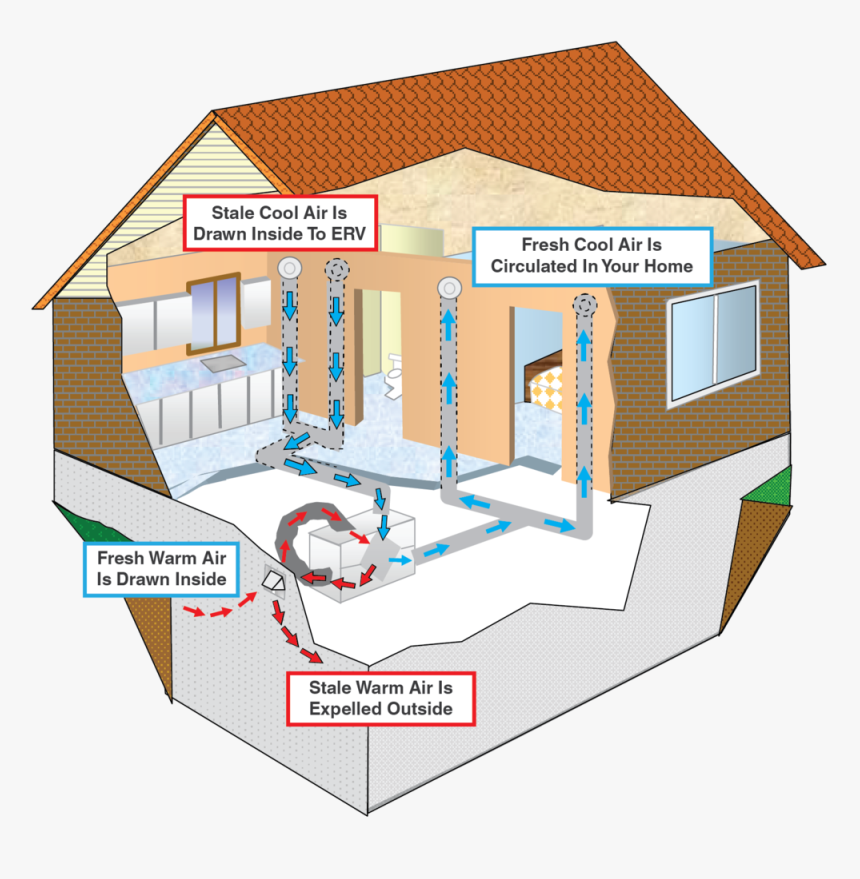 How Erv Works - House, HD Png Download , Transparent Png Image - PNGitem
