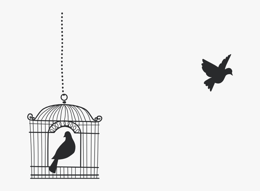 Open Bird Cage Png - Birds Flying From Cage Png, Transparent Png ...